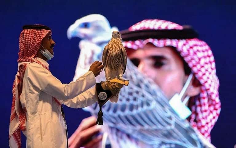 Saudi falcon sells for $72,000, setting record