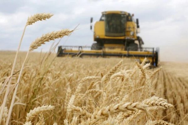 SALIC gets Saudi Grains Organization contract to supply wheat - TRENDS MENA