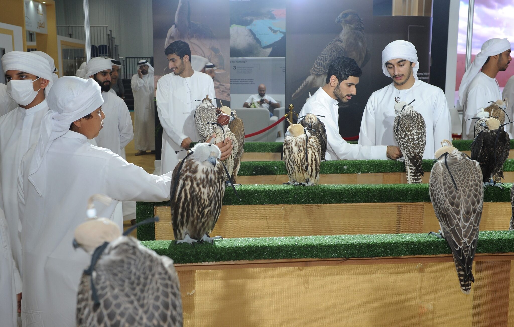 Abu Dhabi event transforms global falconry - TRENDS MENA